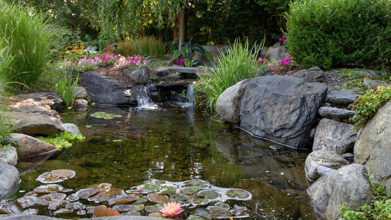 Rules for Building a Pond Stream: Dimensions, Depth & Flow Tips