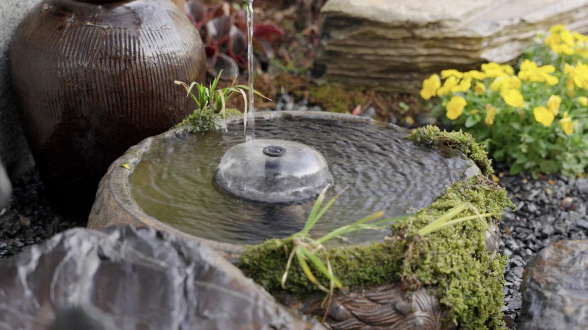 Create a Patio Pond Easily with Poposoap Kits