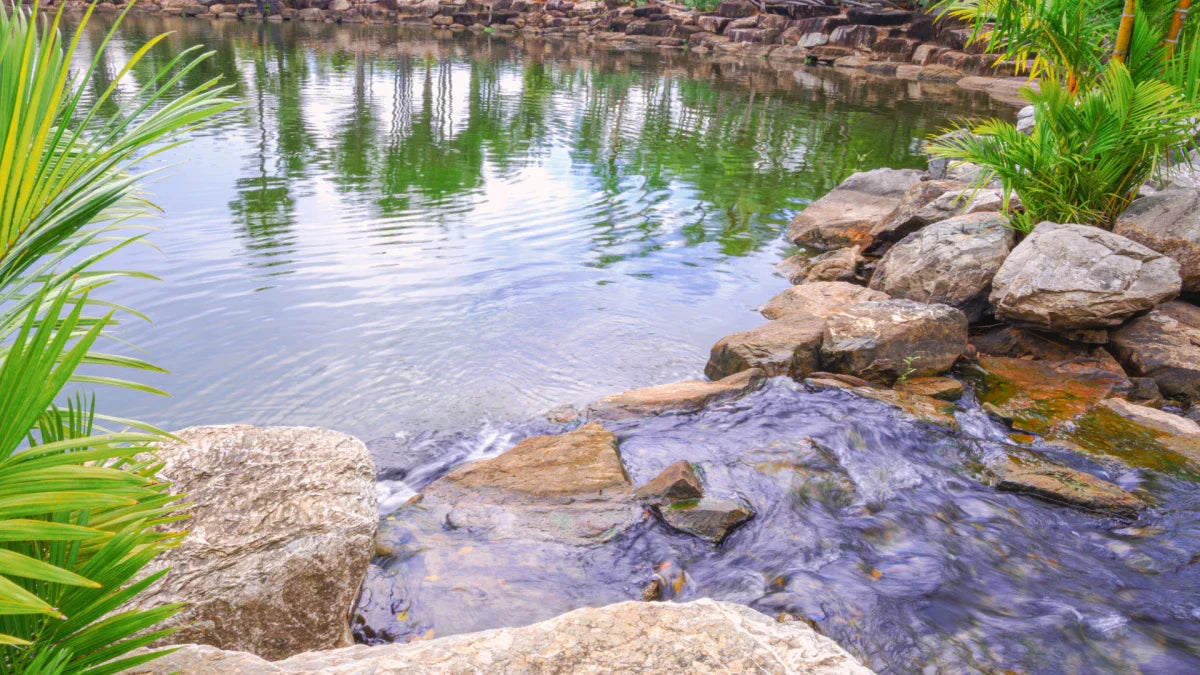 Waterfall Feature & Backyard Water Ideas | Water Gardening Blog