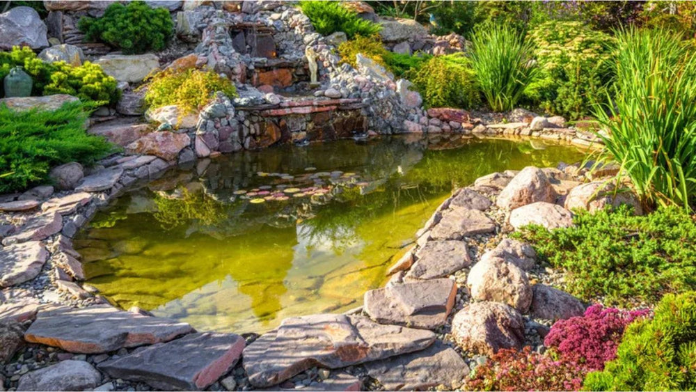 Pond Foam and Bubbles: Causes and How to Get Rid of Them