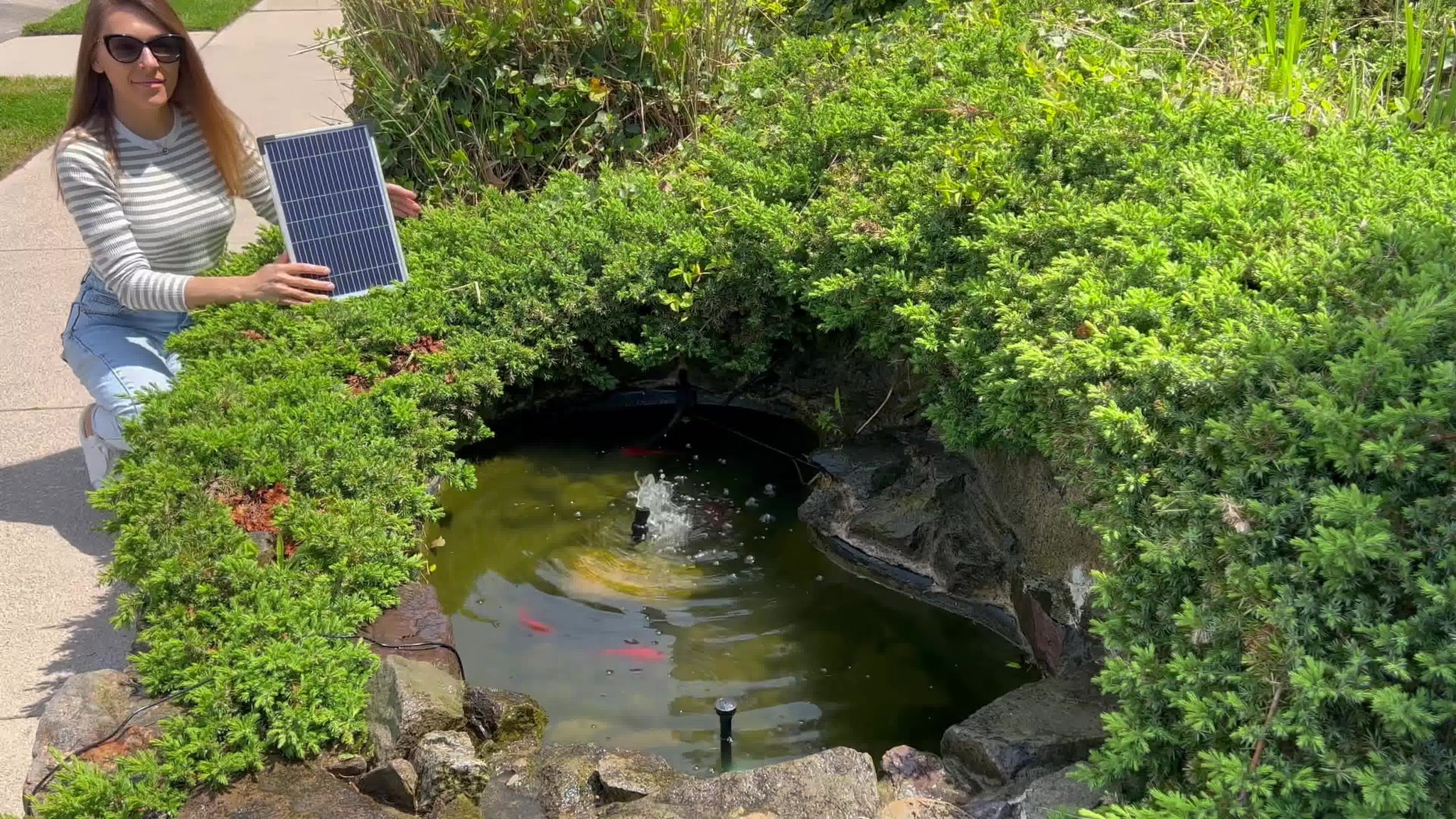 How to Improve Pond Ecology with Poposoap Solar Powered Floating Pond