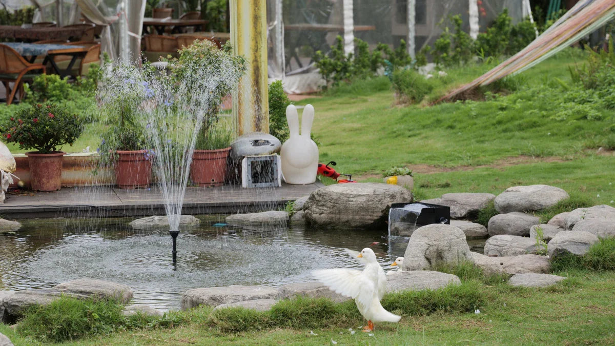 Pond Aeration Benefits | Why Oxygenation & Aerator Fountains Matter