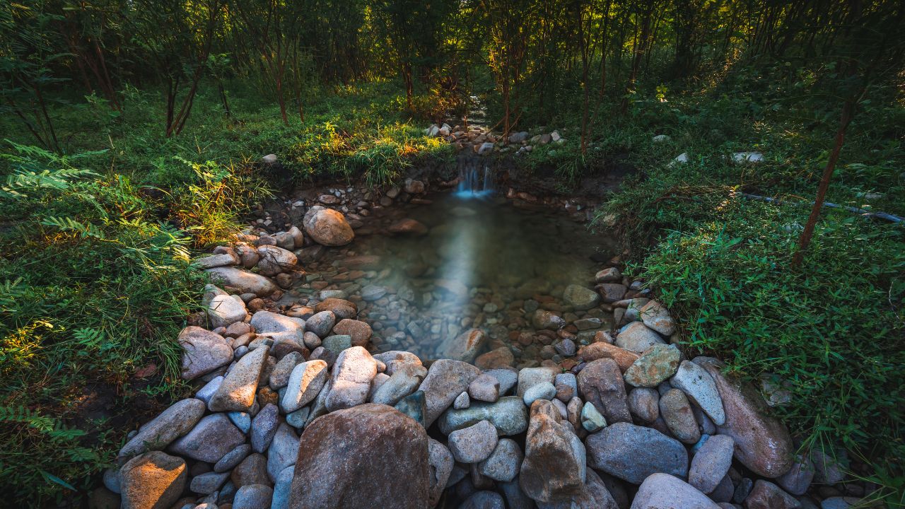 Build a Budget Wildlife Pond | Affordable DIY Garden Pond Ideas