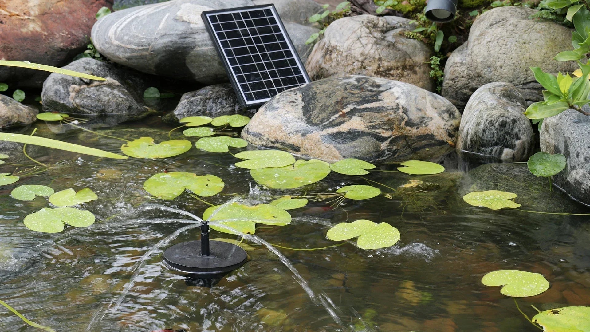 Do Solar Pond Pumps Really Work? Expert Guide 2025
