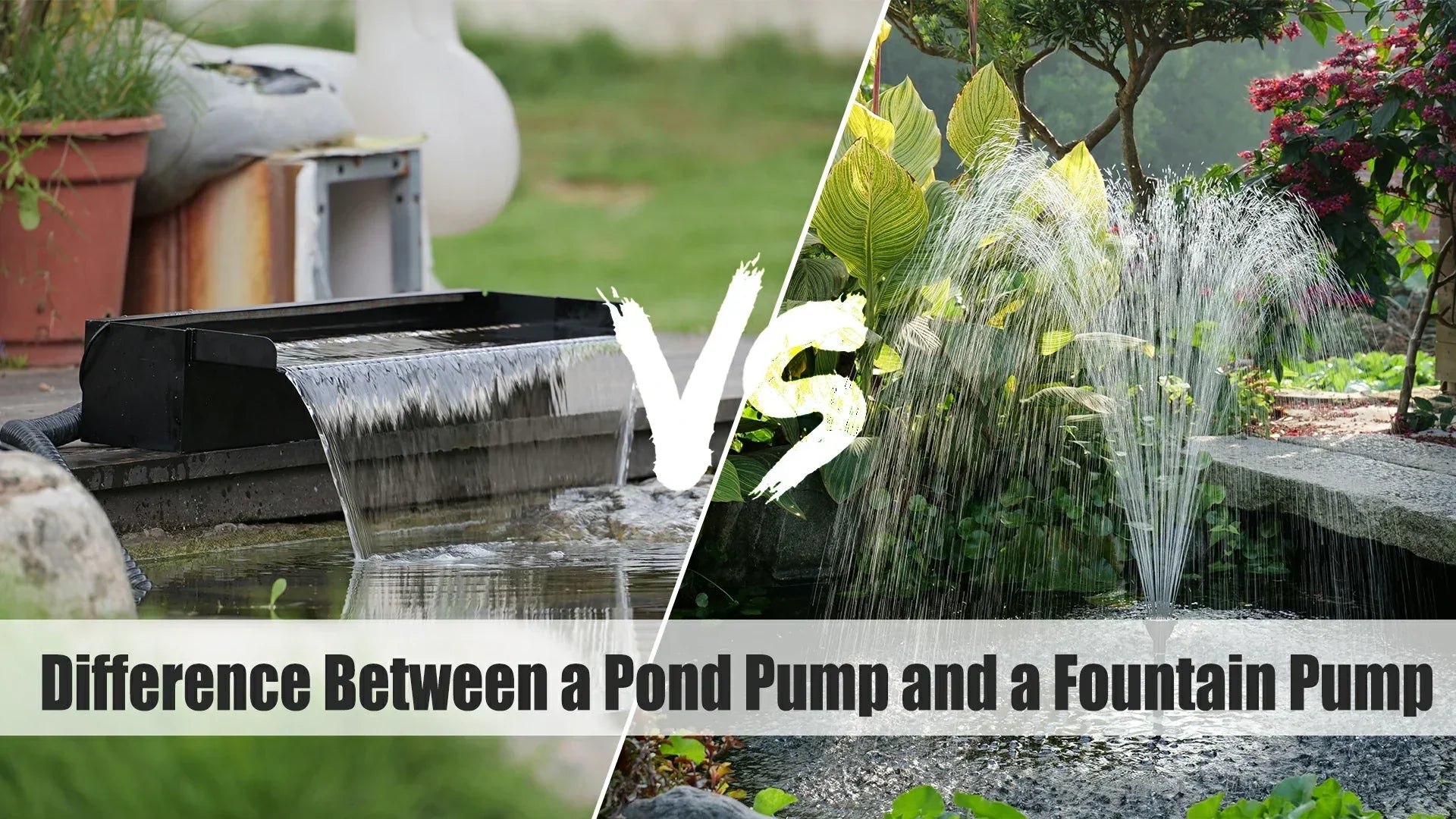 Pond Pump vs Fountain Pump: What’s the Real Difference?