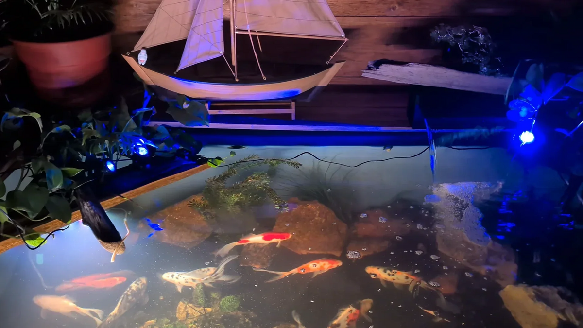 Poposoap Waterproof, Adjustable & Solar Powered Fish Pond Light Review